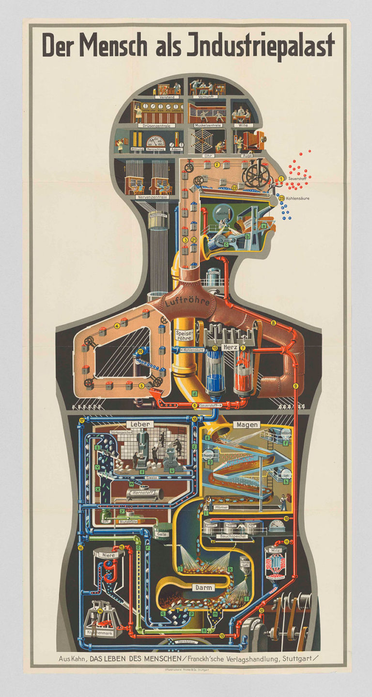 Der-Mensch-als-Industriepalast-(Man-as-Industrial-Palace),-pull-out ...